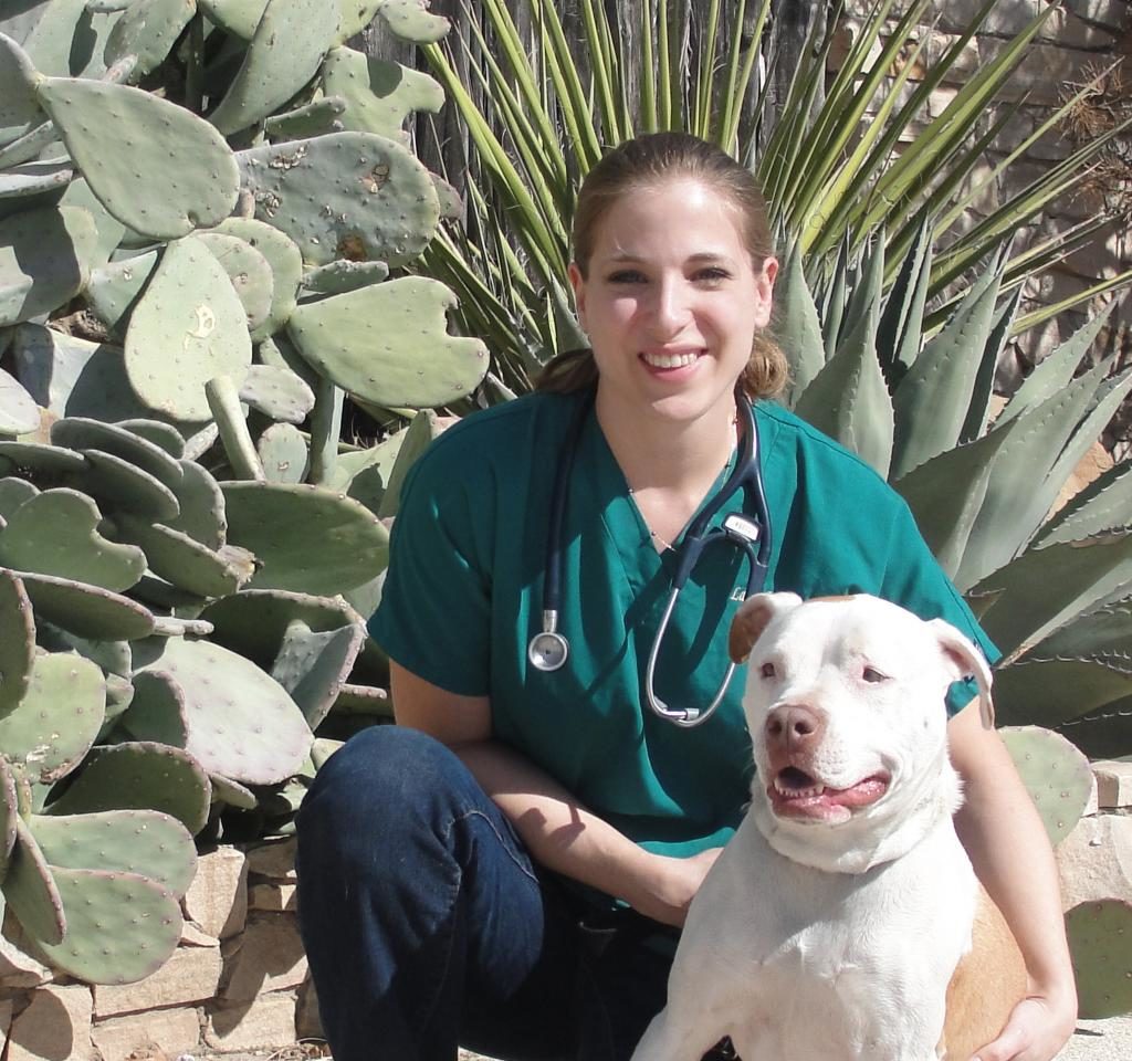 Photo Gallery – Town & Country Veterinary Hospital