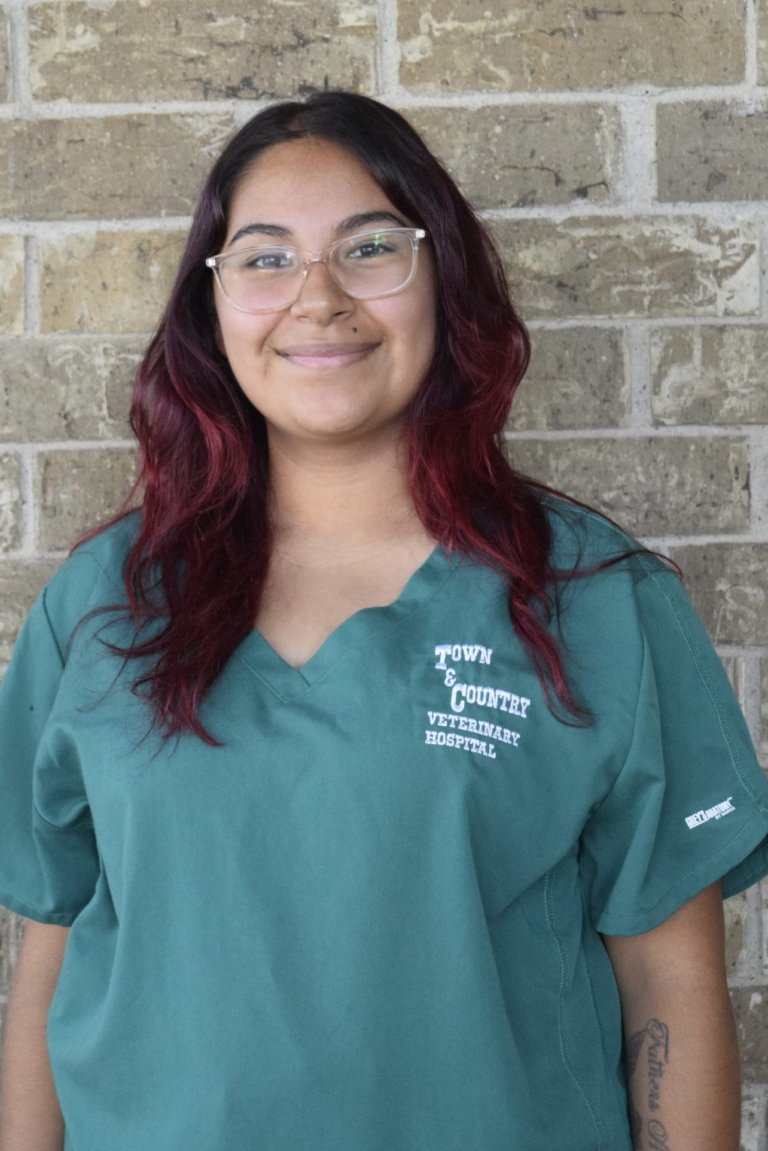 About Us – Town & Country Veterinary Hospital